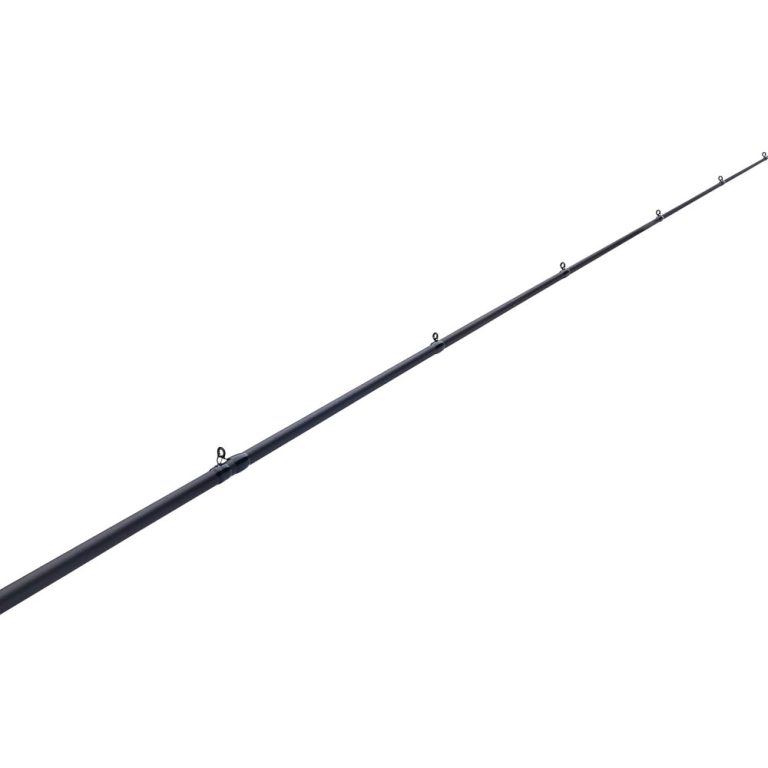 ELEMENT z2 Worm and Jig Rod - Cashion Rods
